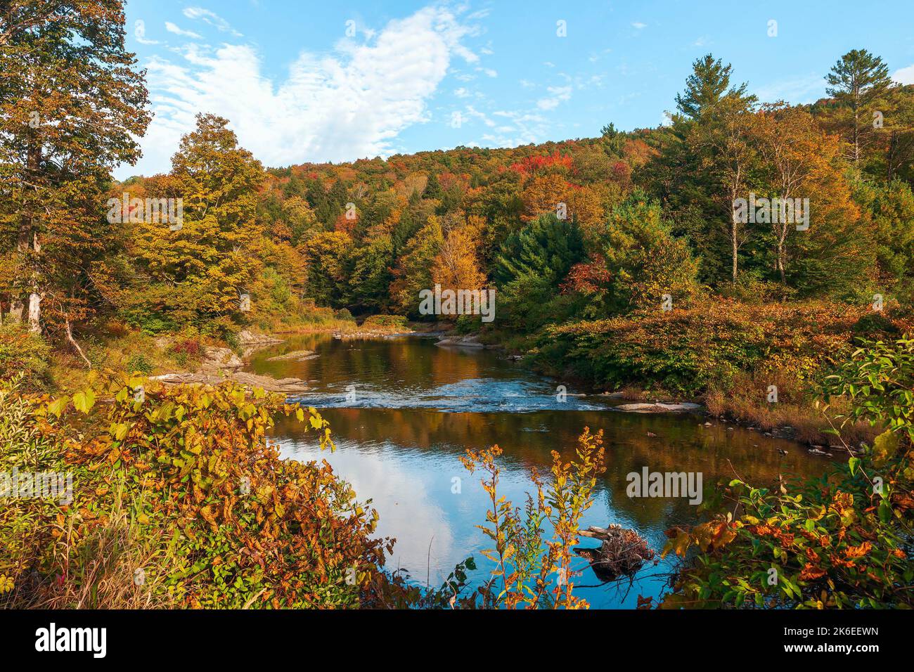Colorful forest along the Mad river banks in autumn. Town of Warren ...