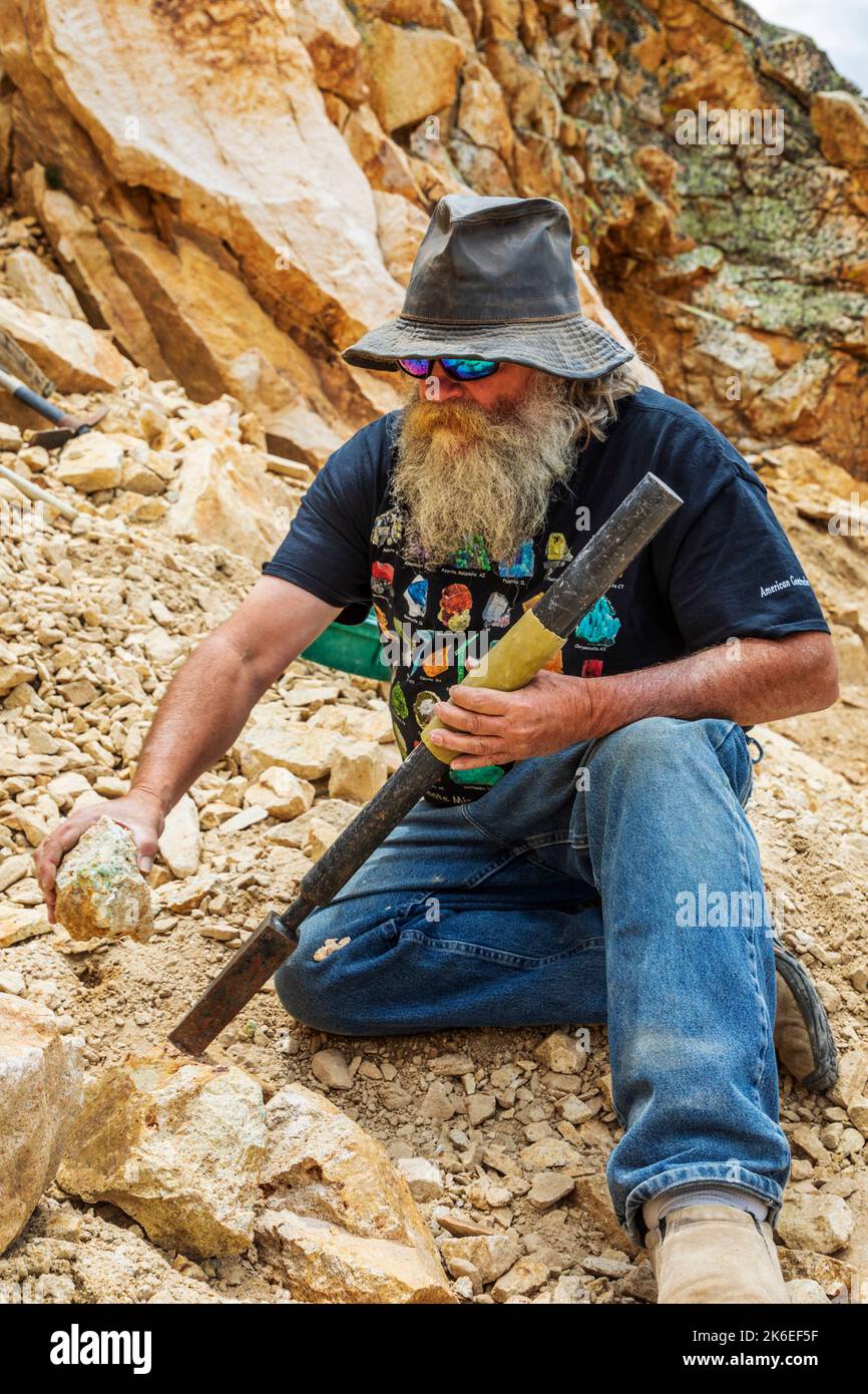 American gemtracker hi-res stock photography and images - Alamy