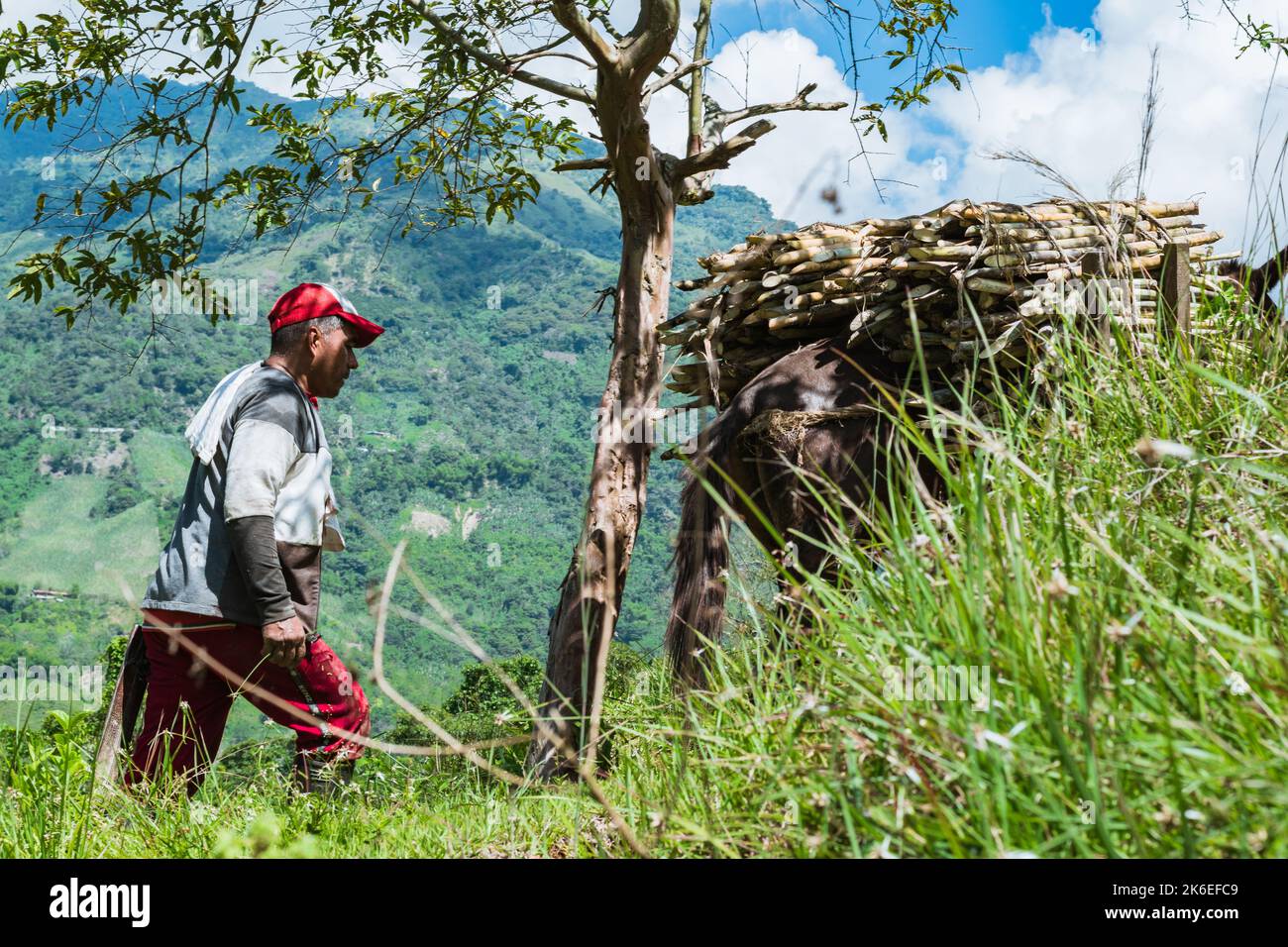 Indigenous colombian farm hi-res stock photography and images - Alamy