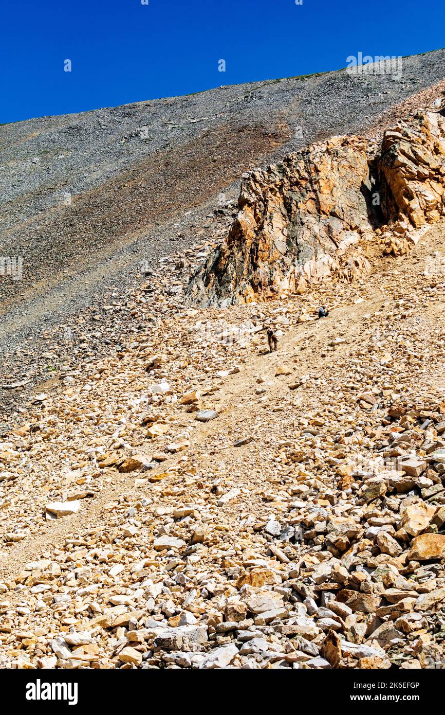 American gemtracker hi-res stock photography and images - Alamy