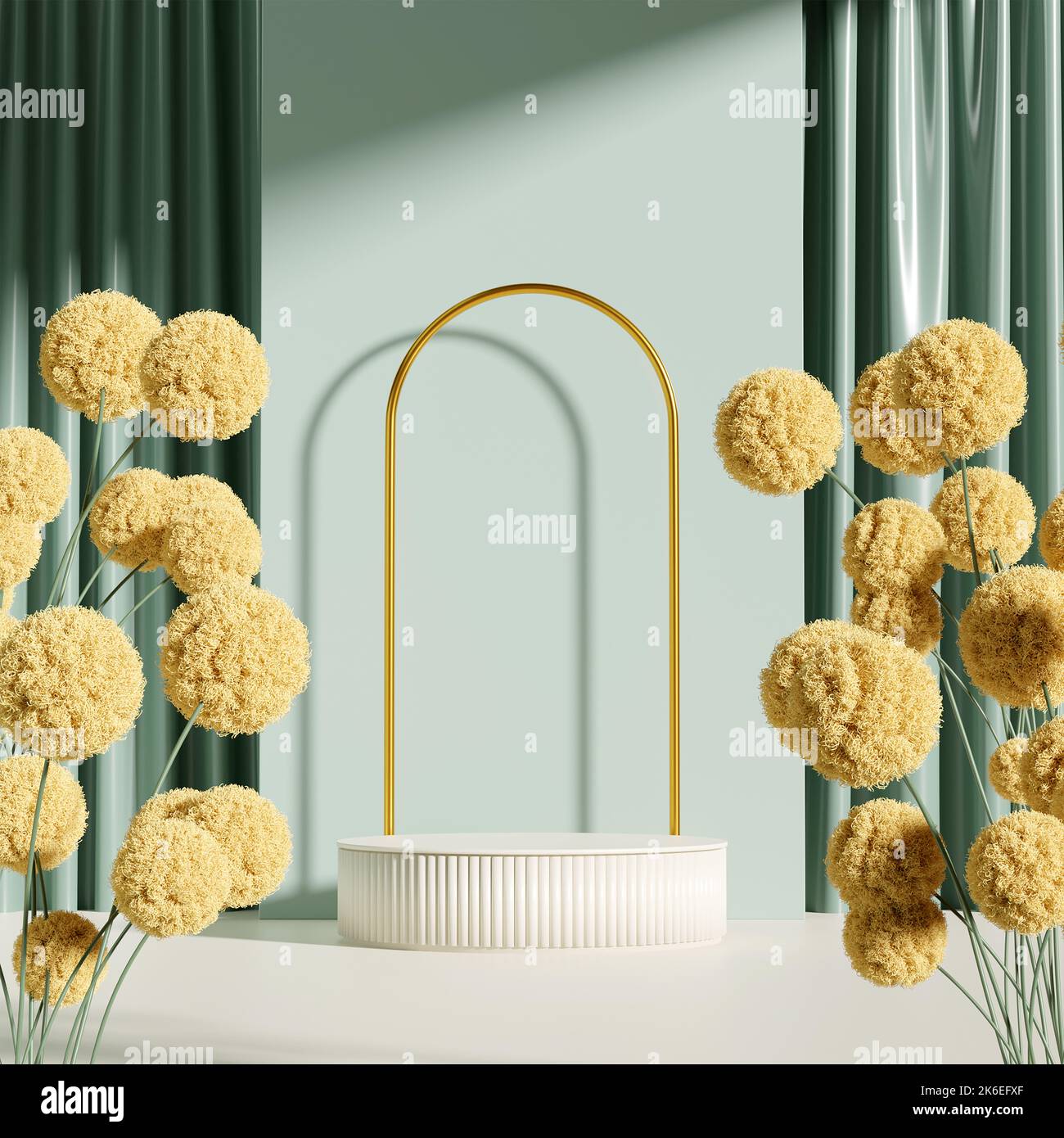 A 3d display podium pastel green background with billy buttons flowers ...