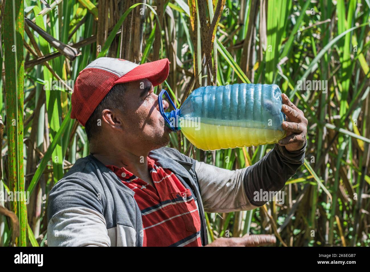 colombian farmer drinking water with lemon from a big blue plastic ...