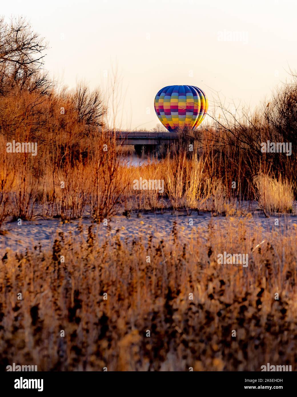 A vertical of a colorful hot air balloon over the Rio Grande River in ...