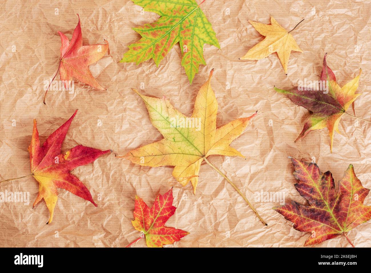 Colorful autumn leaves on craft paper background. Autumn concept. Top ...