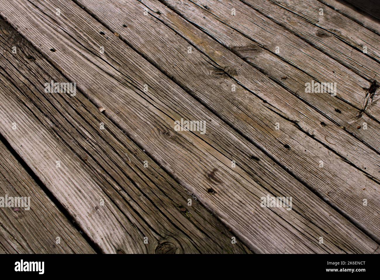 A colorful Marijuana plant growing outdoors in the fall Stock Photo - Alamy