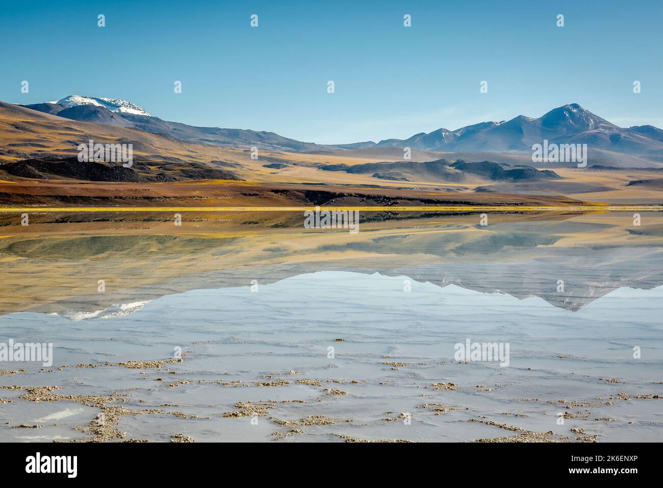 Laguna Tuyajto, salt lake in Atacama desert, volcanic landscape, Chile ...