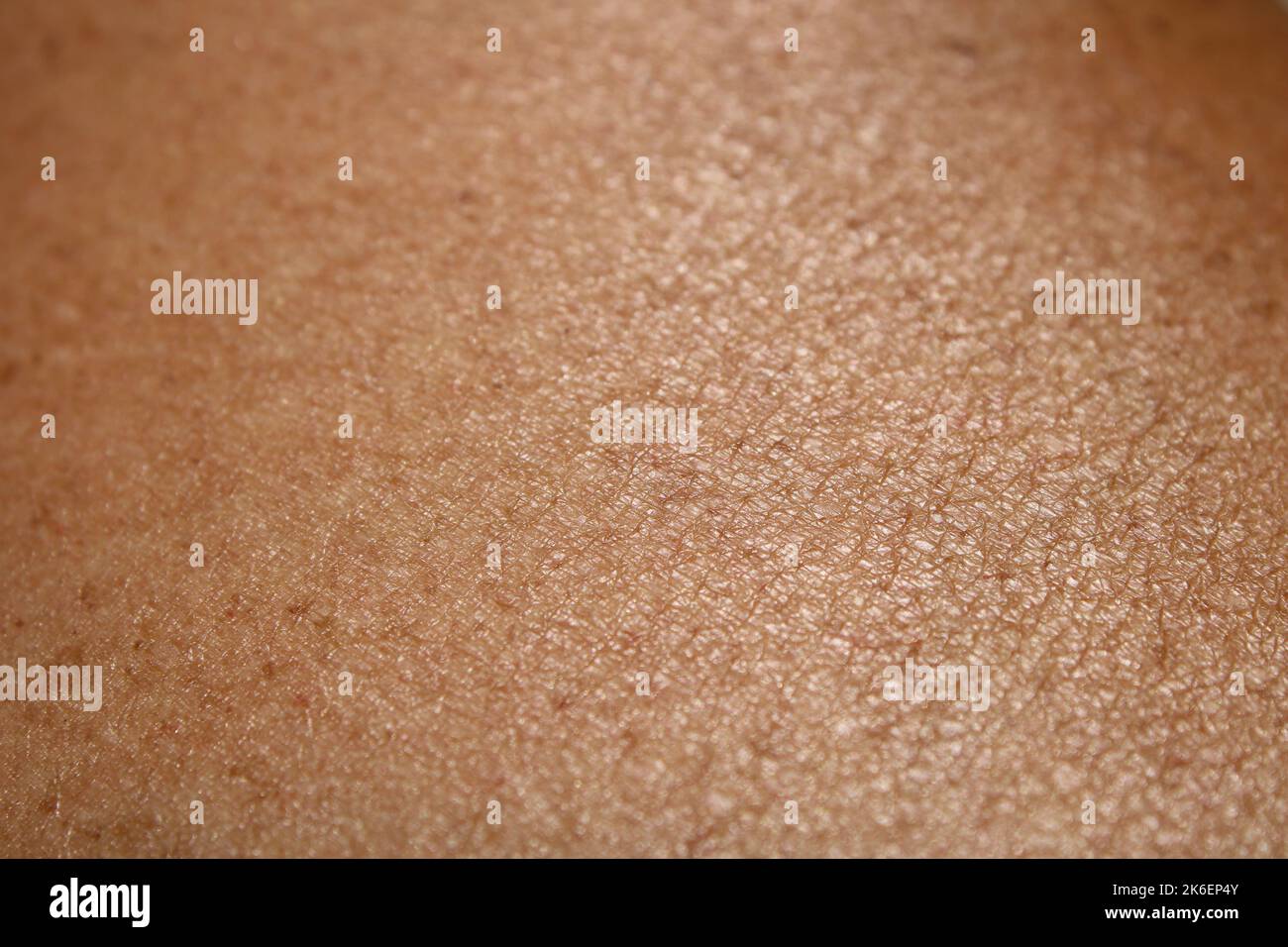 Close up photo of a 49-year-old's arm skin color and texture Stock ...