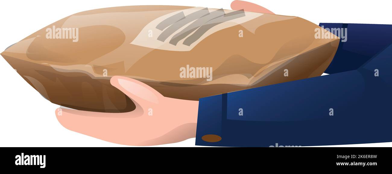 Postman parcel icon cartoon vector. Bag post. Envelope job Stock Vector ...