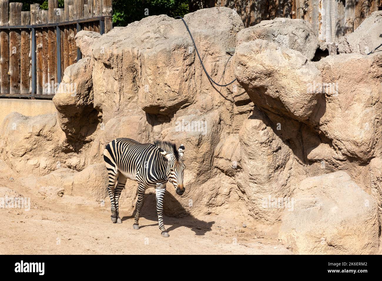 Albuquerque zoo hi-res stock photography and images - Alamy