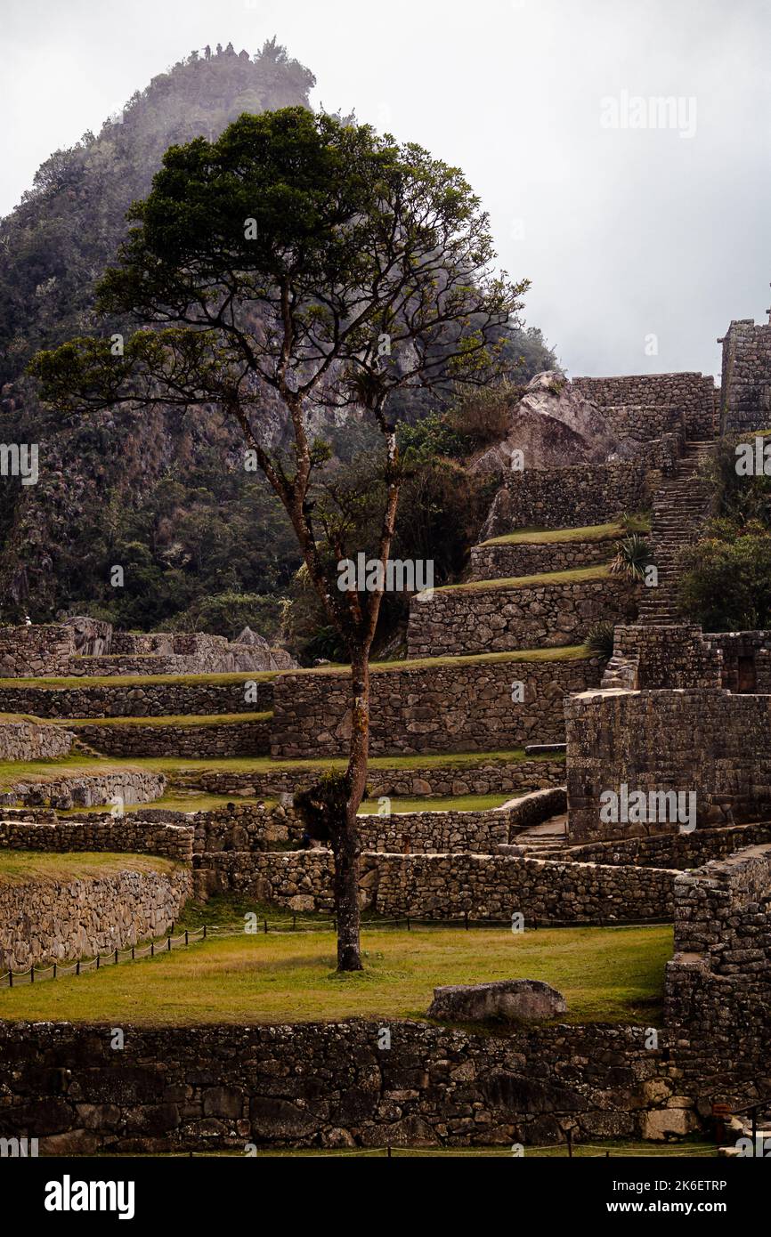 Stepping back into the uncovered ancient Machu Picchu civilization ...