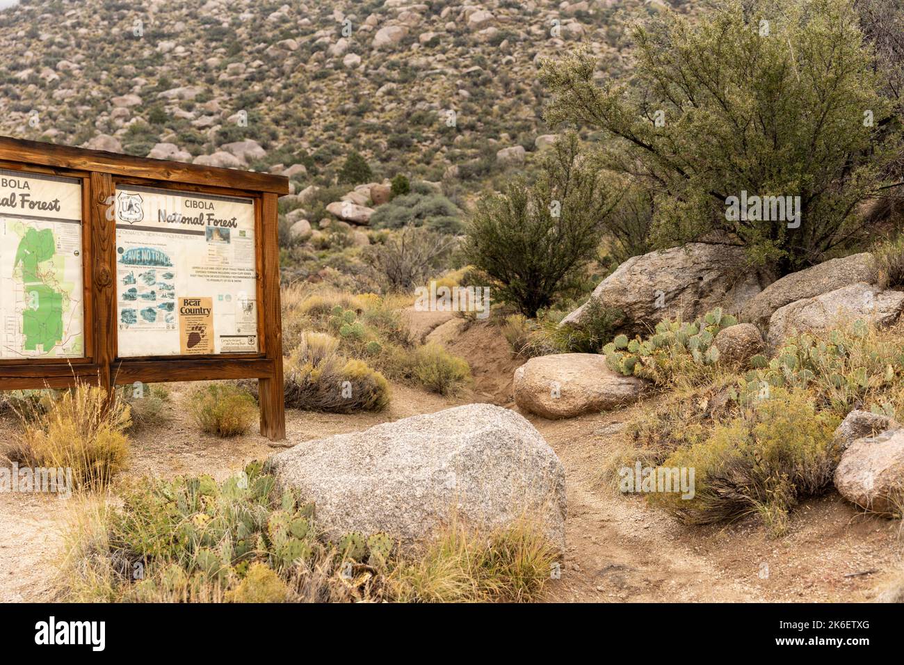 Cibola National Forest, Albuquerque, New Mexico Stock Photo - Alamy