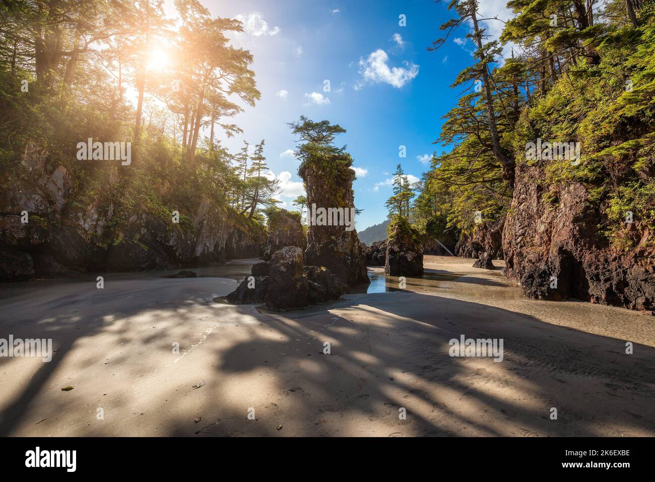 Sandy beach on Pacific Ocean Coast View. Sunny Blue Sky. San Josef Bay ...
