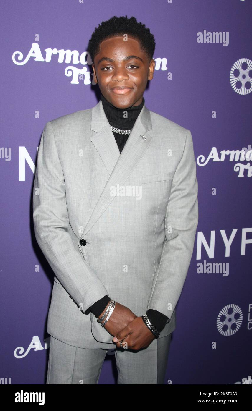 60th New York Film Festival: 'Armageddon Time' Presentation -PICTURED ...