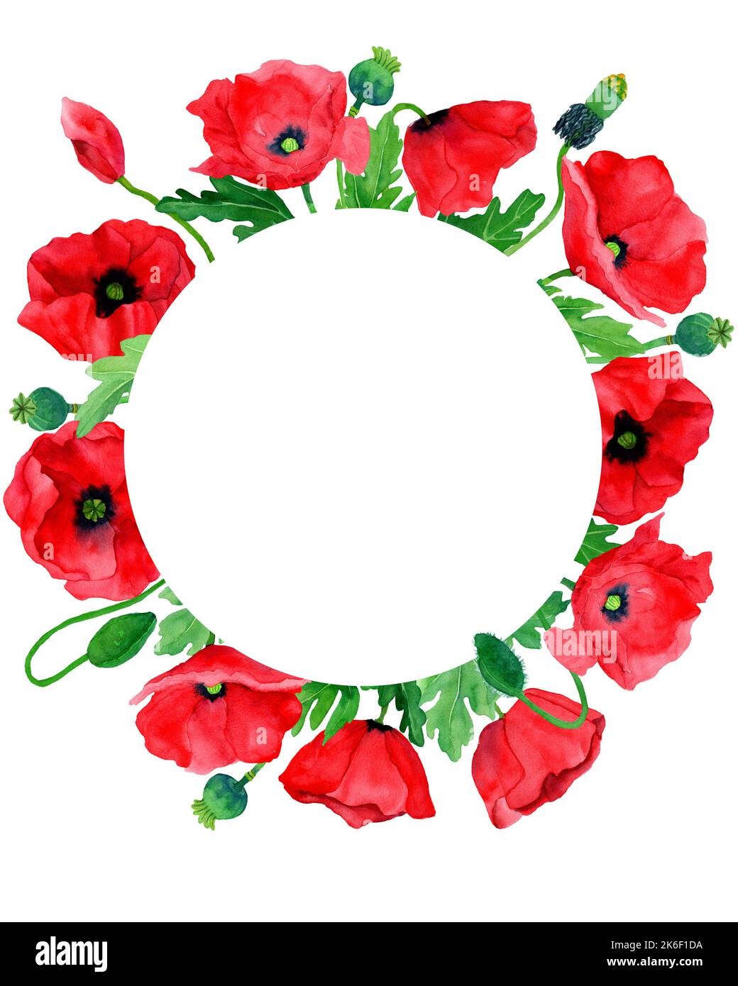 Watercolor hand drawn frame of poppy flowers and leaves. Botany ...
