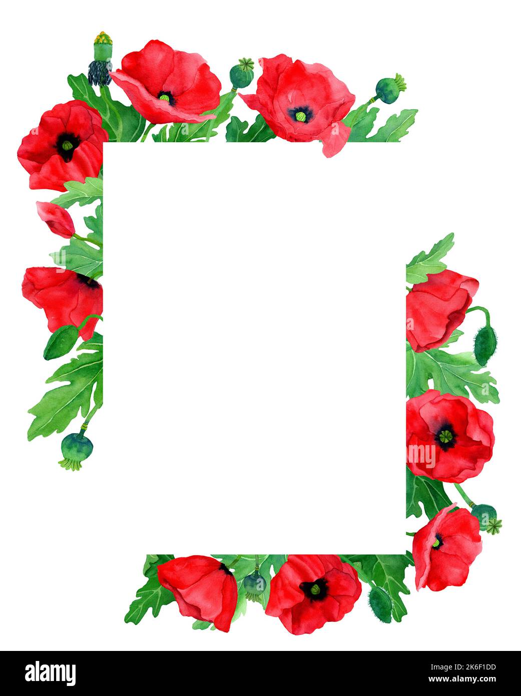 Watercolor hand drawn frame of poppy flowers and leaves. Botany ...
