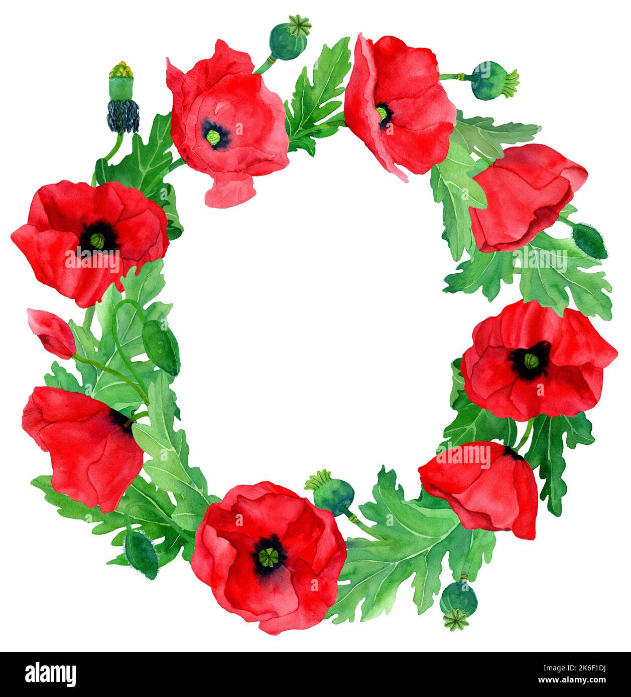 Watercolor hand drawn frame of poppy flowers and leaves. Botany ...