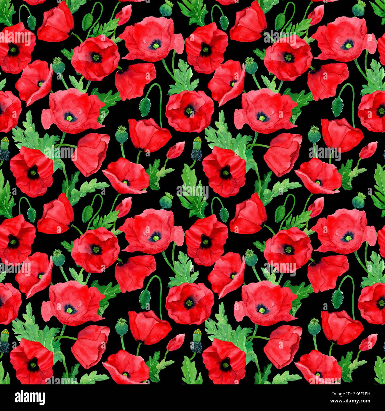 Poppy blood illustration hi-res stock photography and images - Alamy