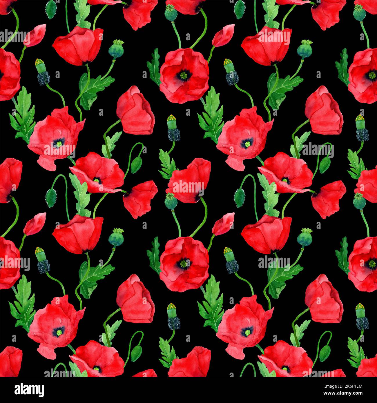 Watercolor hand drawn poppies seamless pattern. Botany illustration of ...