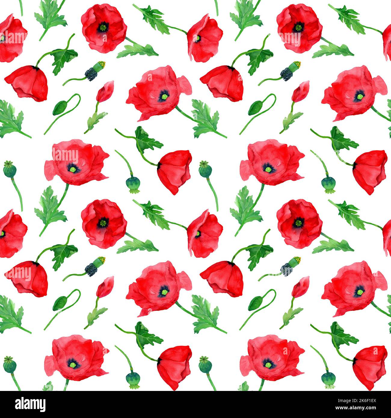 Watercolor hand drawn poppies seamless pattern. Botany illustration of ...