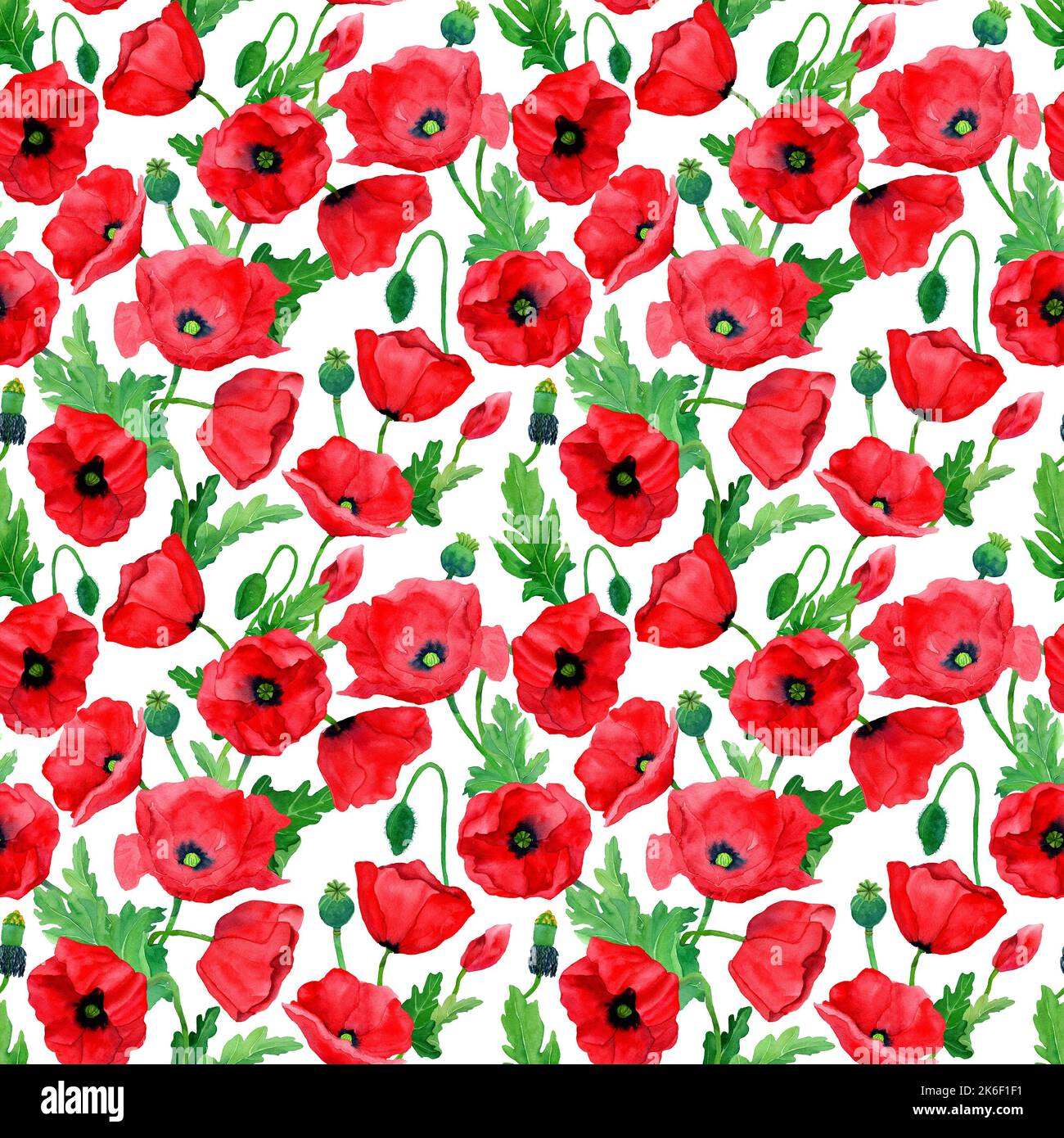 Watercolor hand drawn poppies seamless pattern. Botany illustration of ...