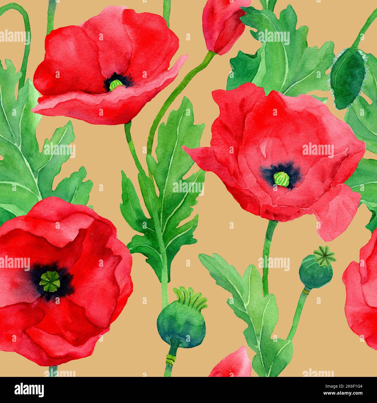 Watercolor hand drawn poppies seamless pattern. Botany illustration of ...