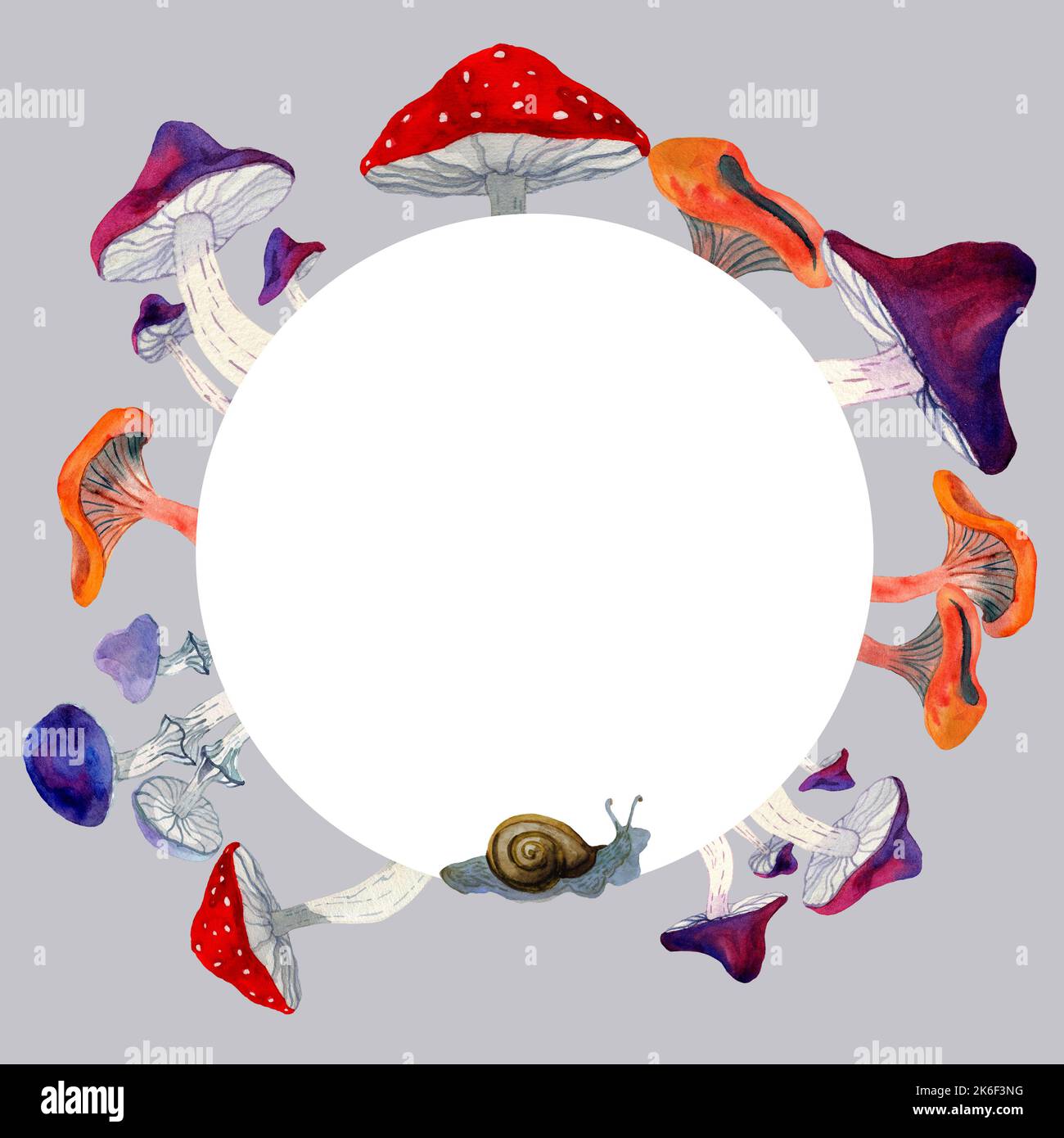 Watercolor border of mushrooms and snail. Russula, fly agaric ...