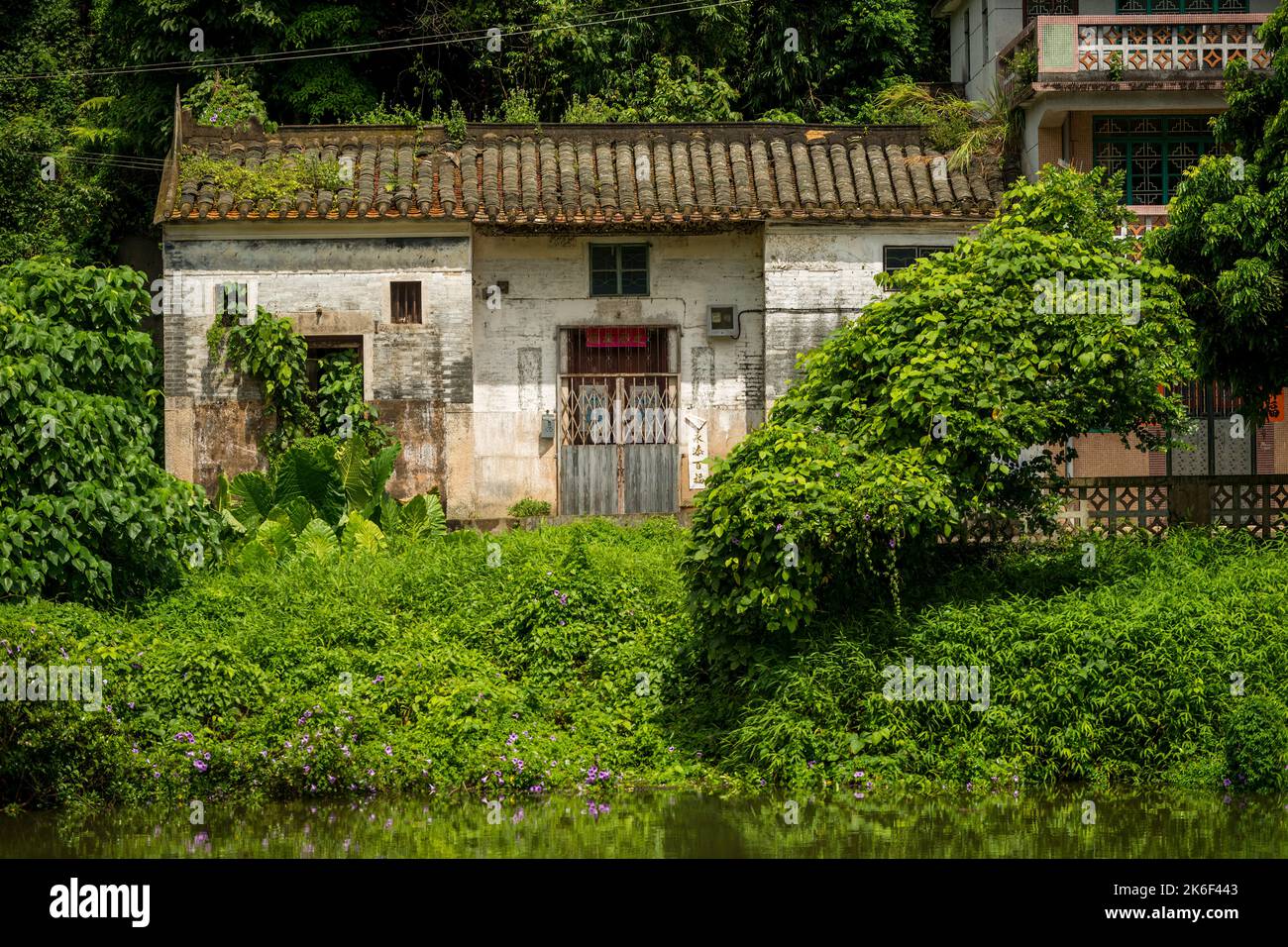 Traditional Chinese village house next to a small lagoon, Nam Chung ...