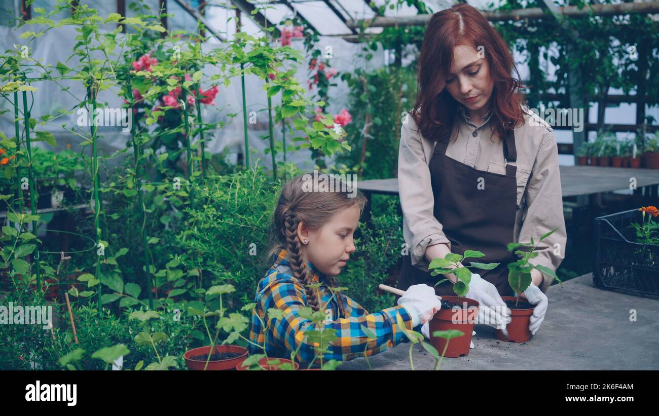 Farmer using hoe hand tool hi-res stock photography and images - Alamy