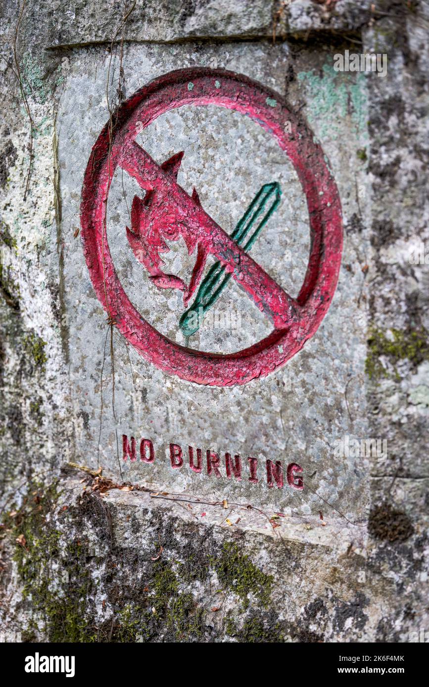 Fire safety signs vector hi-res stock photography and images - Alamy