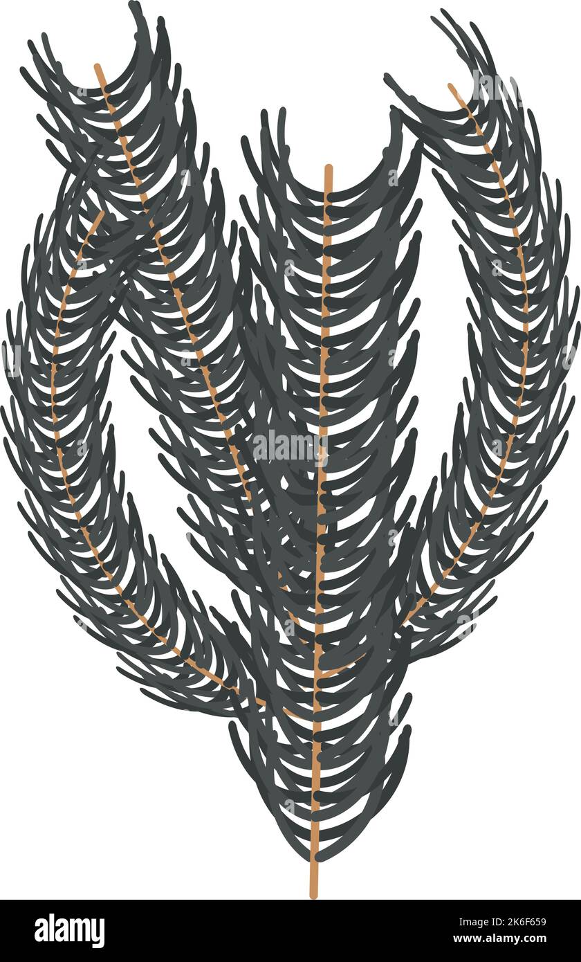 pine branch tree Stock Vector Image & Art - Alamy