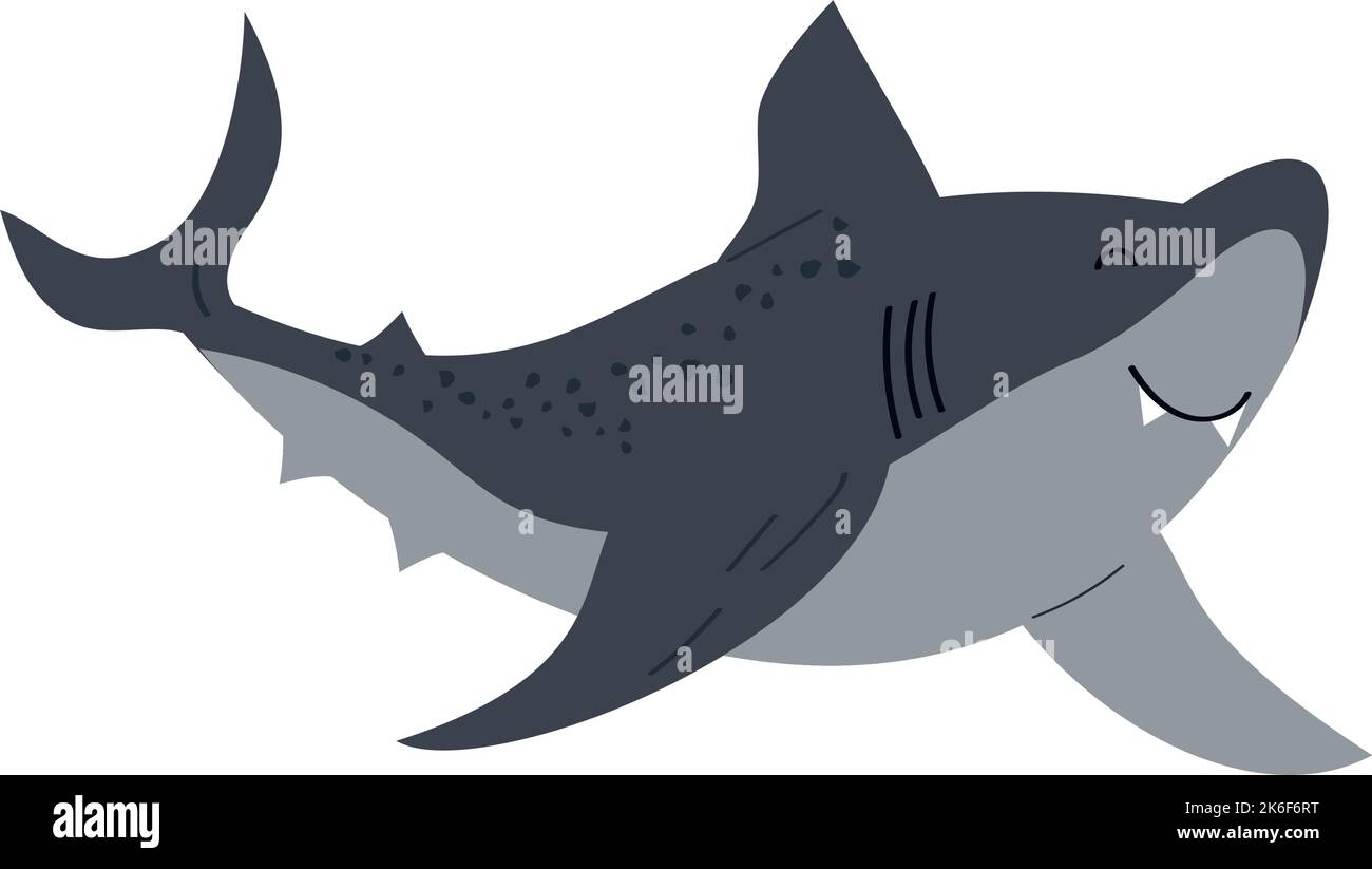 shark sealife animal Stock Vector Image & Art - Alamy