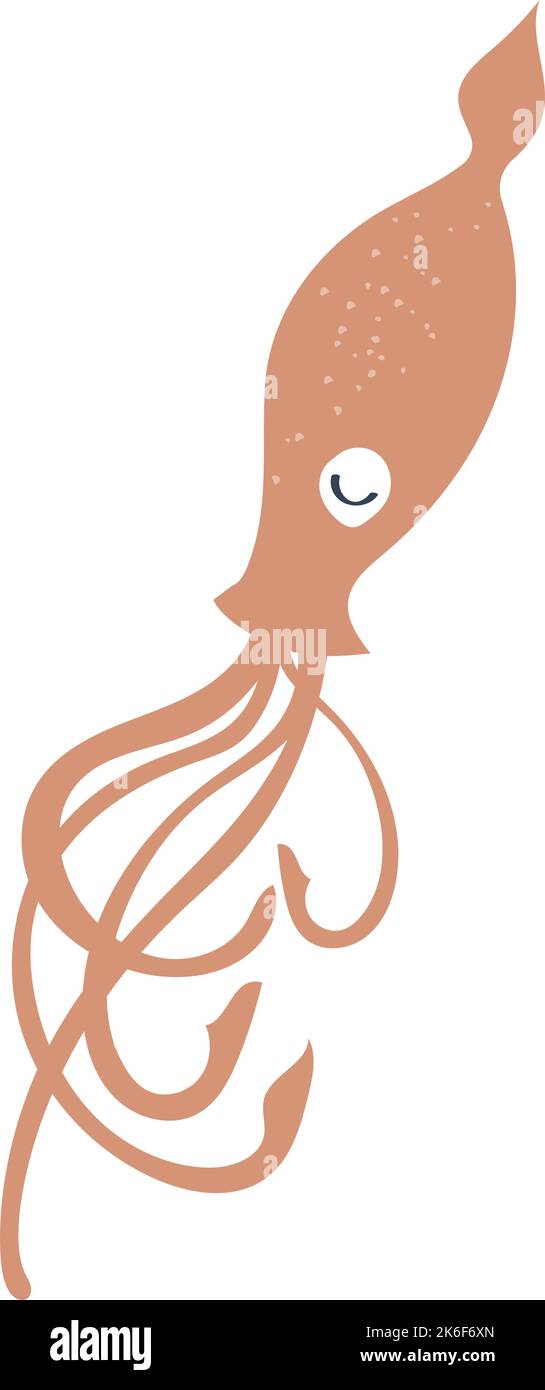 squid sealife animal Stock Vector Image & Art - Alamy