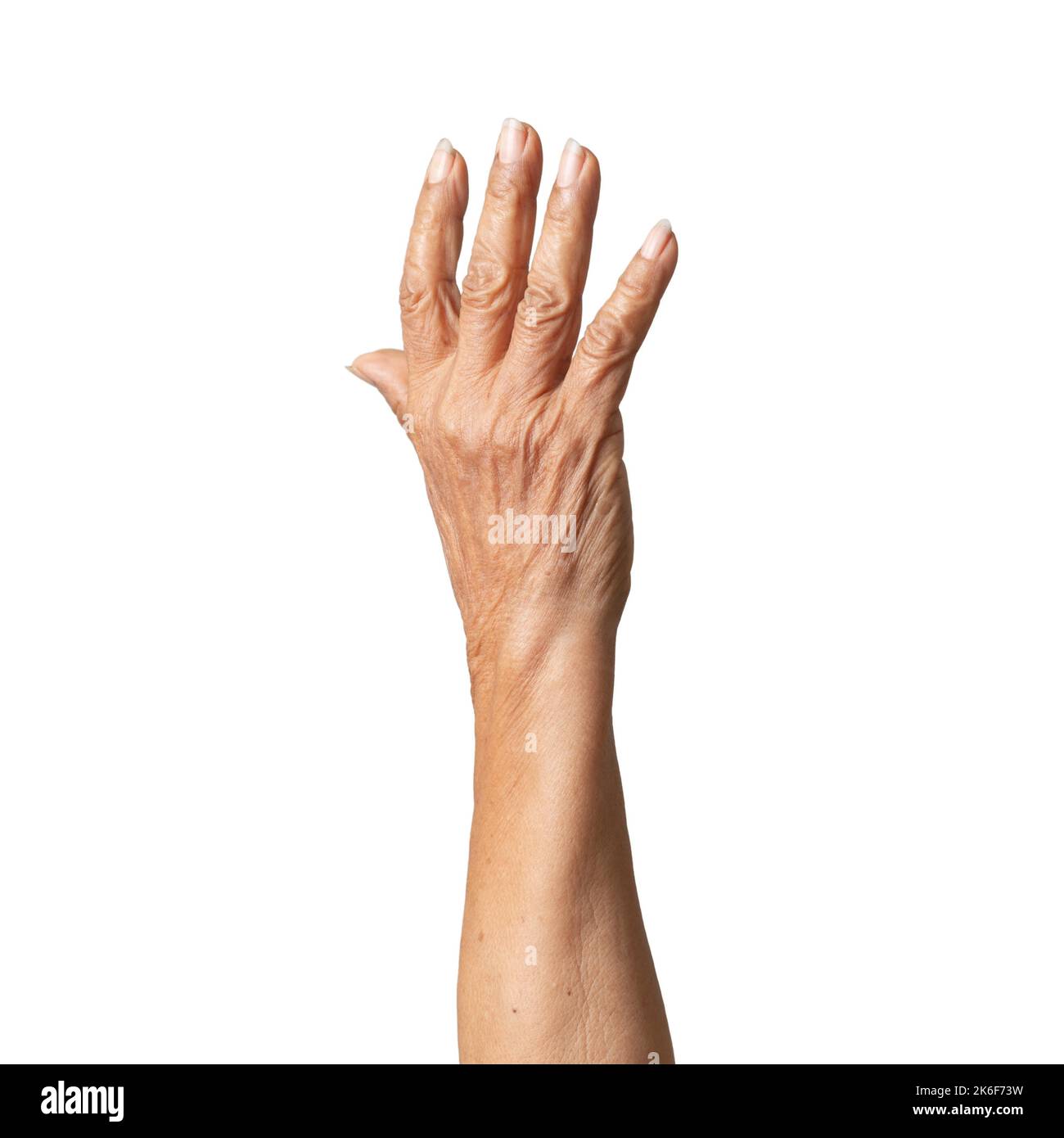 Closeup Beautiful female hand rise hand gesture Isolated on white ...