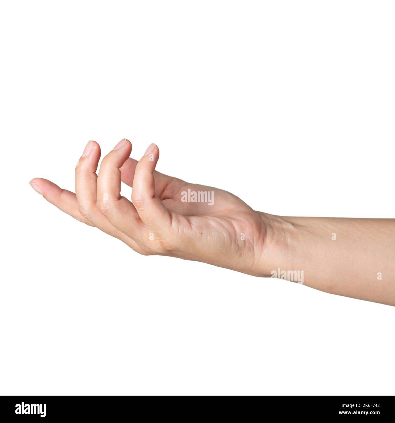 Closeup Beautiful female hand count from one to five gesture Isolated on blank white background ...