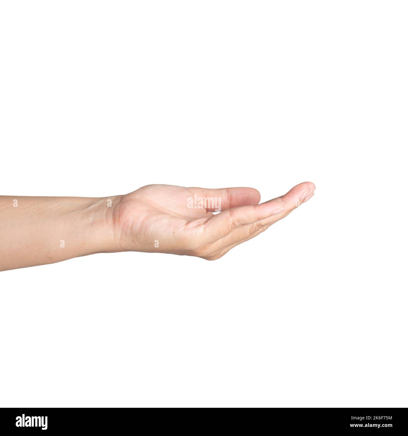 Closeup Beautiful female hand count from one to five gesture Isolated ...