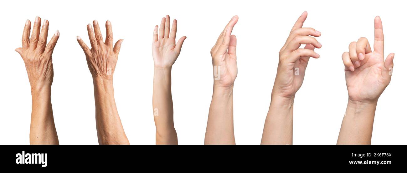 Closeup Beautiful female hand count from one to five gesture Isolated on blank white background ...
