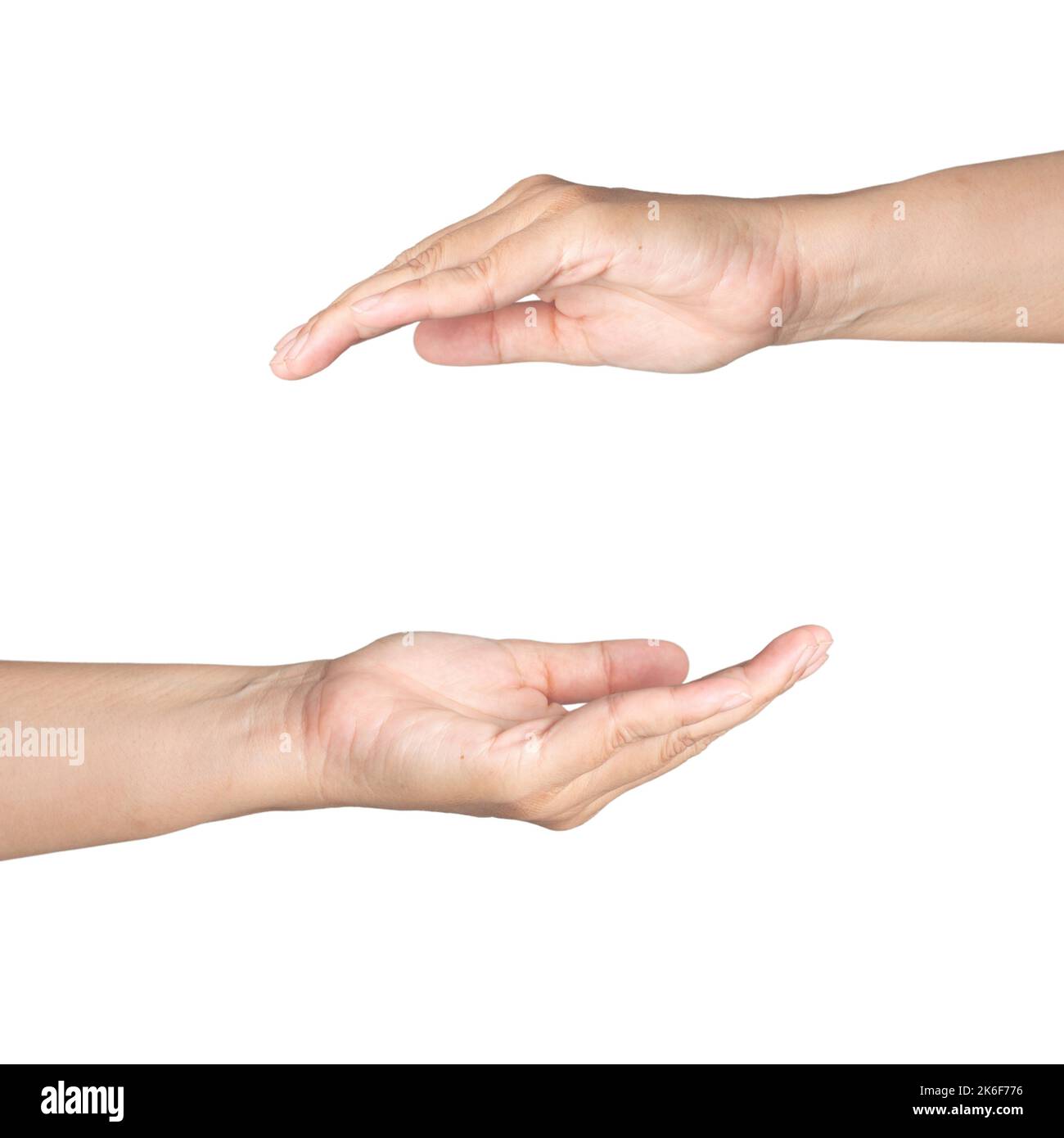 Closeup Beautiful female hand count from one to five gesture Isolated on blank white background ...