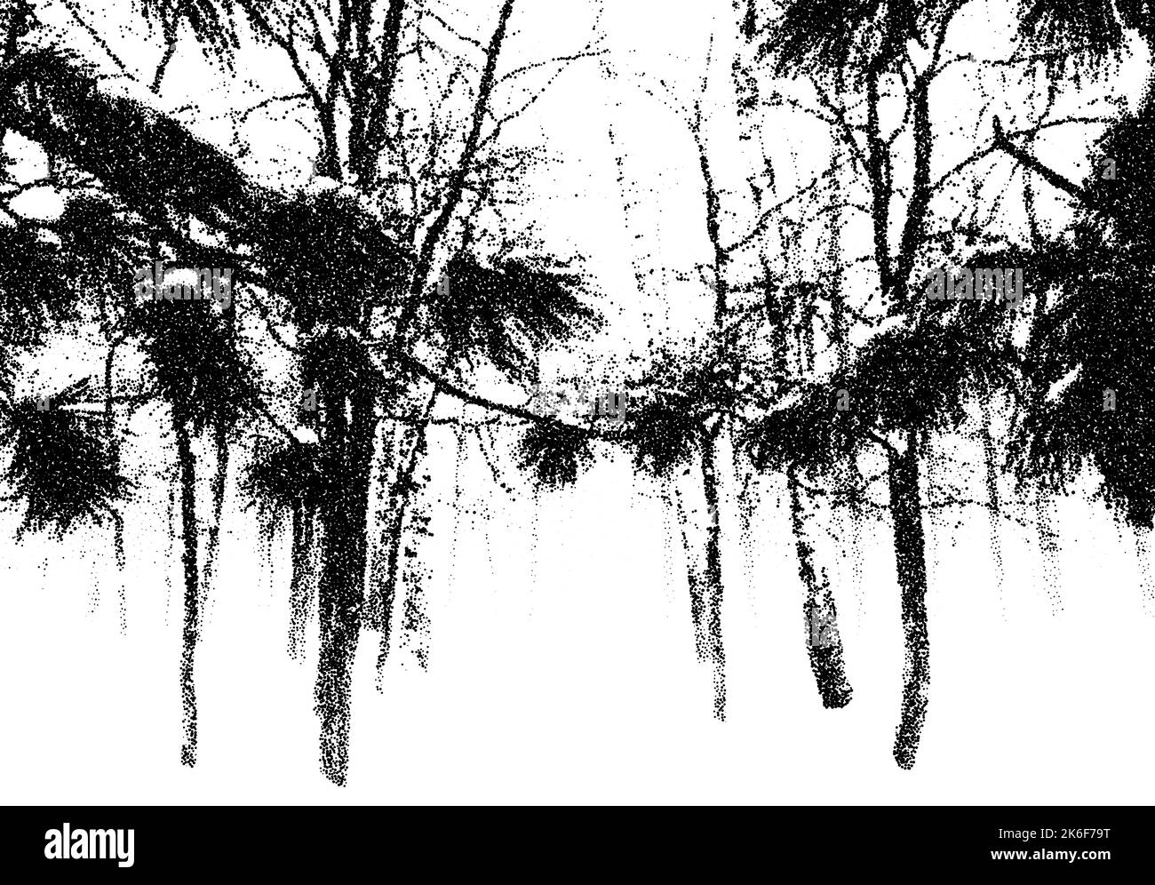 Tree silhouettes in the snow Stock Vector Images - Alamy