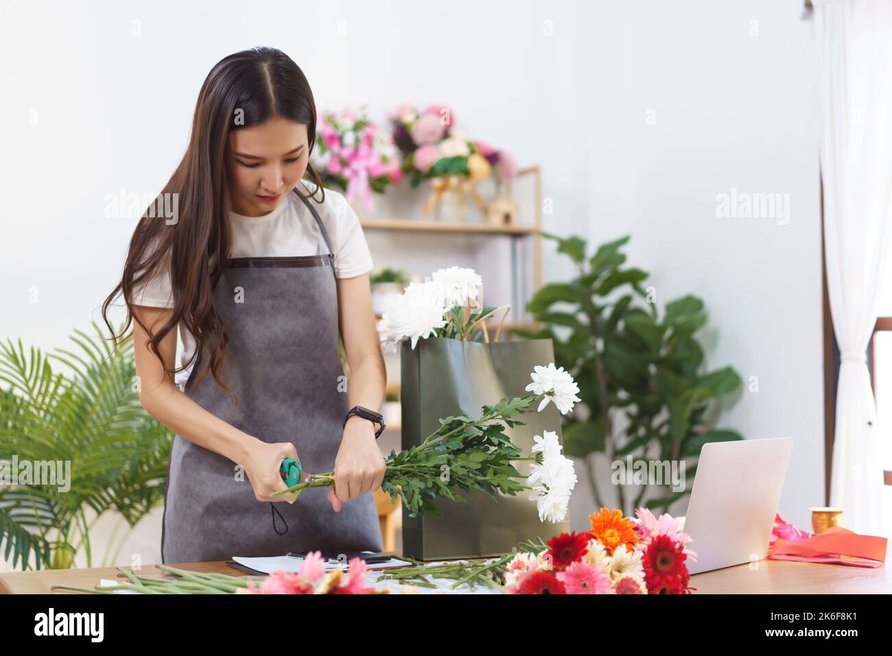 Flower shop concept, Female florist cut chrysanthemum stems with ...