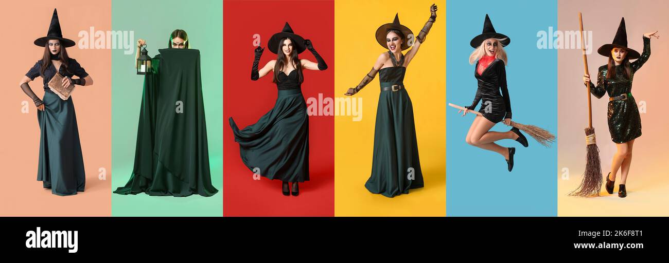 Collage with young witches on colorful background Stock Photo - Alamy