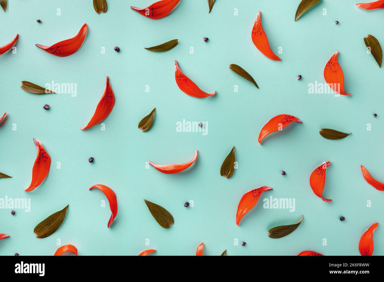 Floral pattern of red petals of lilies and green leaves. Flower ...