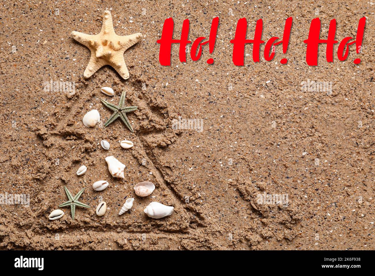 Christmas tree made of sea shells on beach sand Stock Photo - Alamy