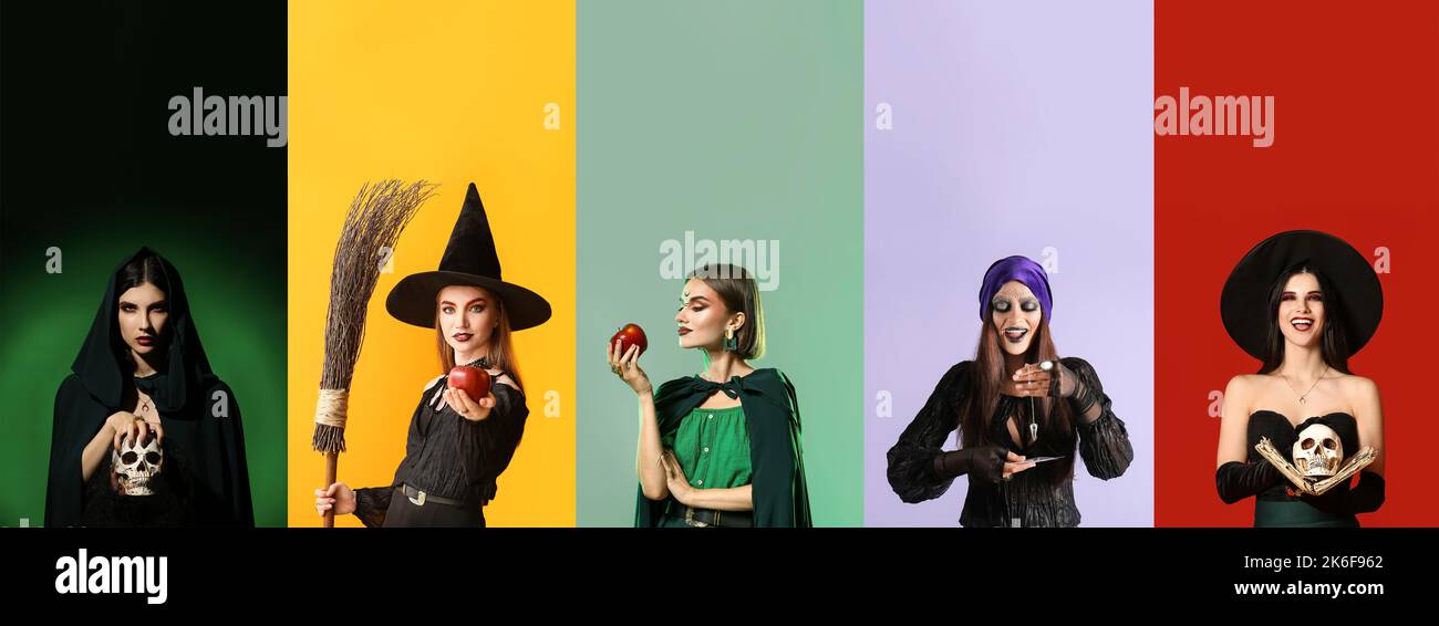Collage with young witches on colorful background Stock Photo - Alamy