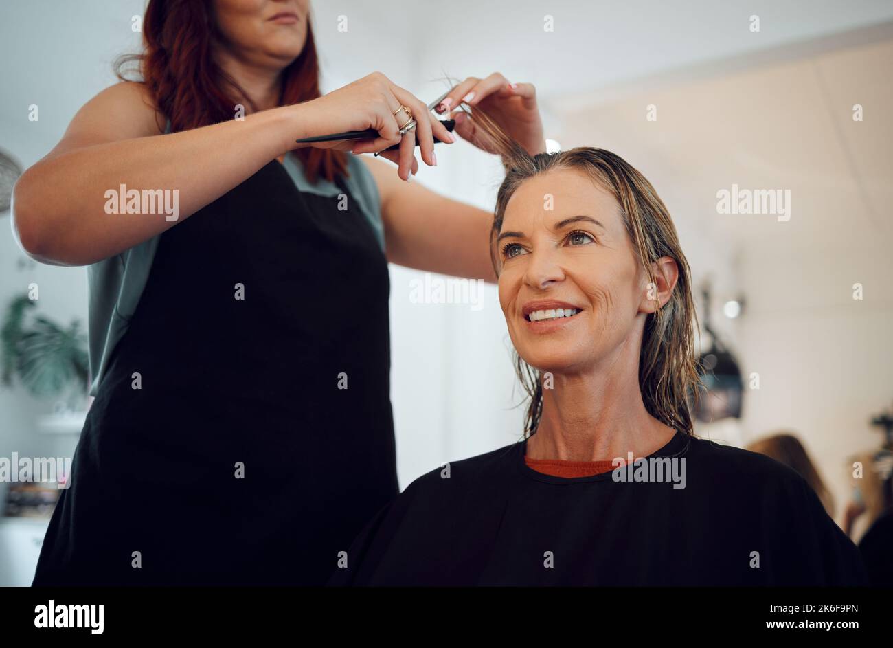 Beauty salon, hairdresser and hair cut for woman customer, cosmetics ...