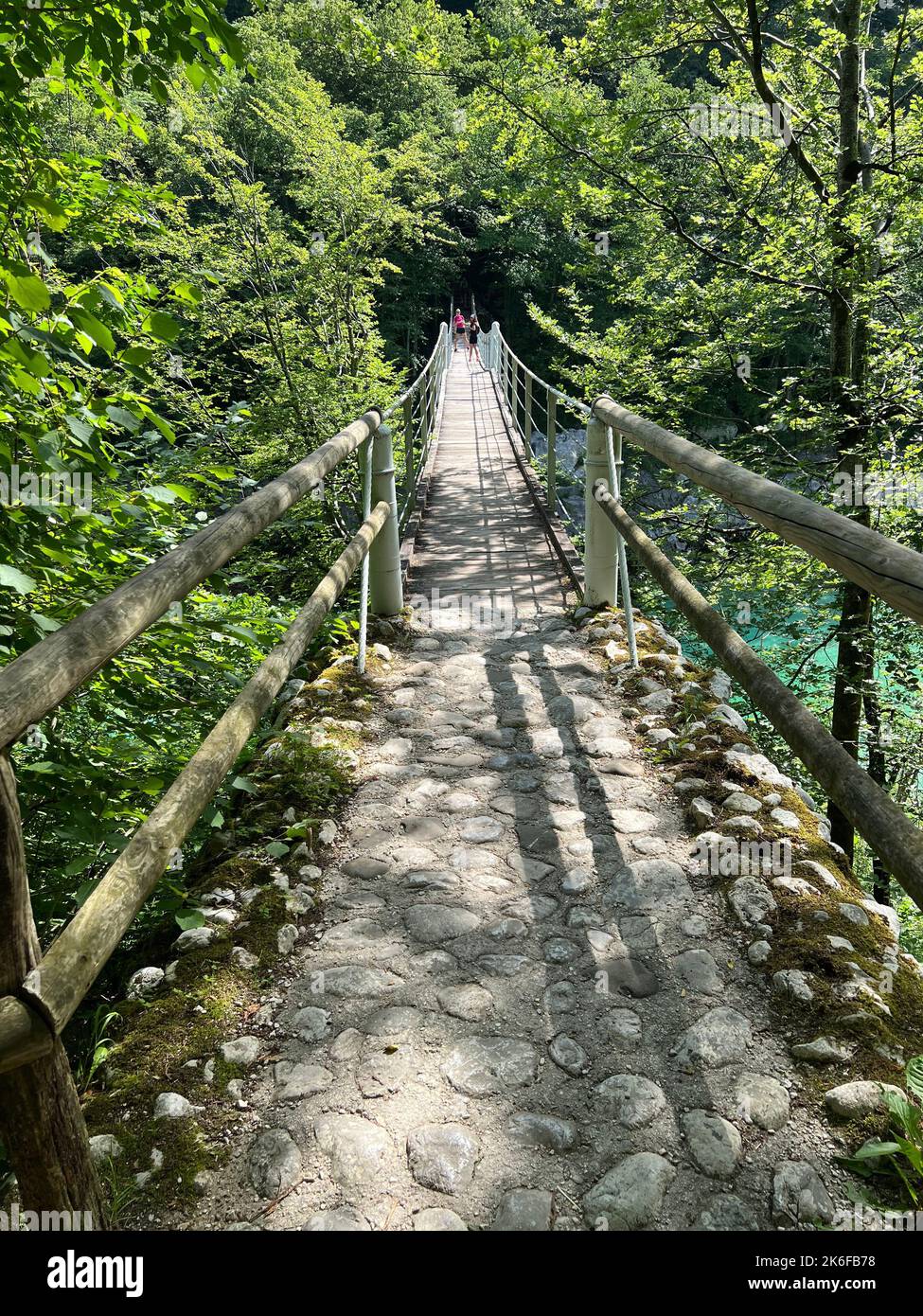 A vertical shot of the narrow bridge over water surrounded by green ...