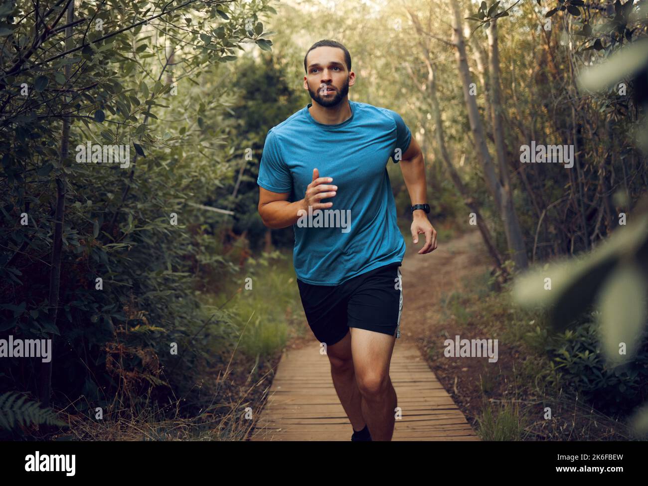 Forest, fitness and runner man training for marathon on trail path in ...