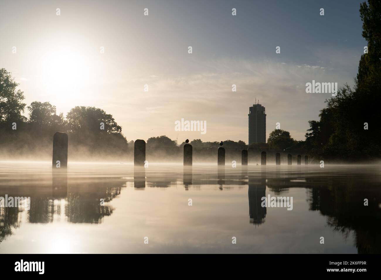 An aerial view of lake surrounded by dense trees with reflection in ...