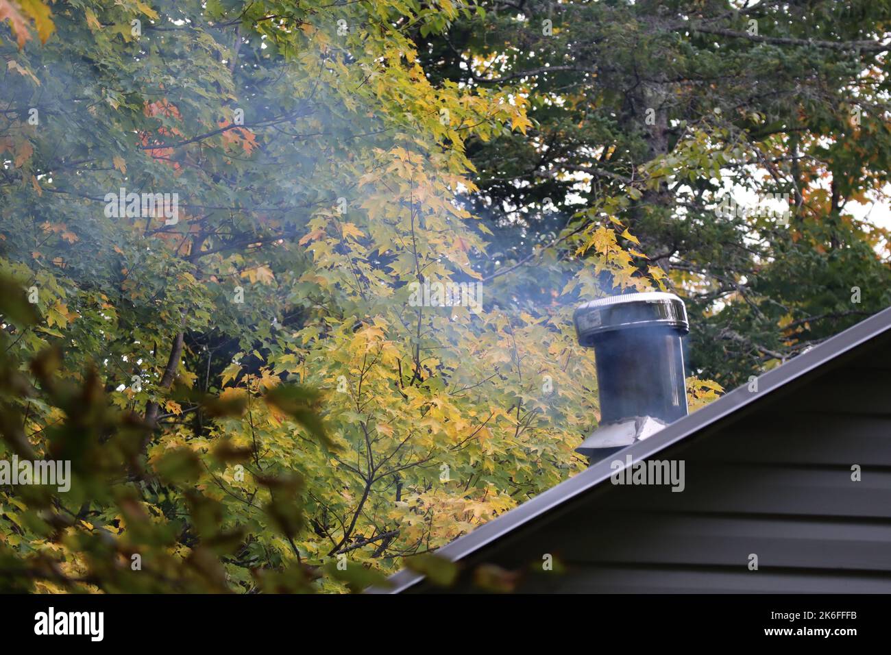A smoke coming out form a chimney of a rural house in the autumn forest ...
