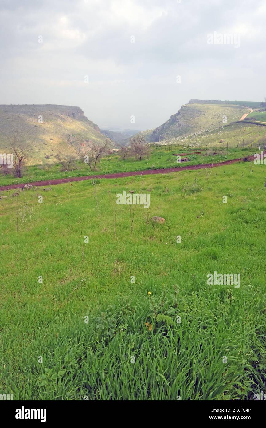 Chitin base hi-res stock photography and images - Alamy