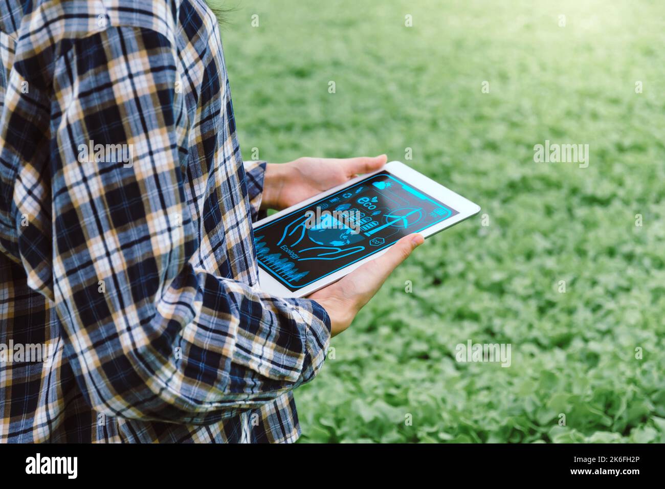 agronomist farmer hand using mobile tablet computer analysis data ...